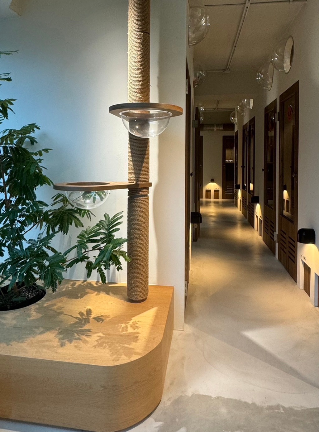 Top 10 Pet-Friendly Cafes in Taipei｜Ultra-Soothing Cats and Dogs ...