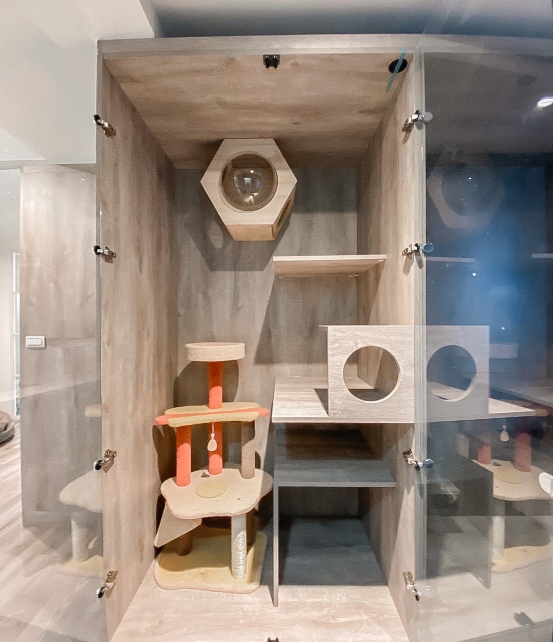 2025 台北貓咪住宿推薦｜寄宿放心交給貓保姆，6 間台北貓旅館評比